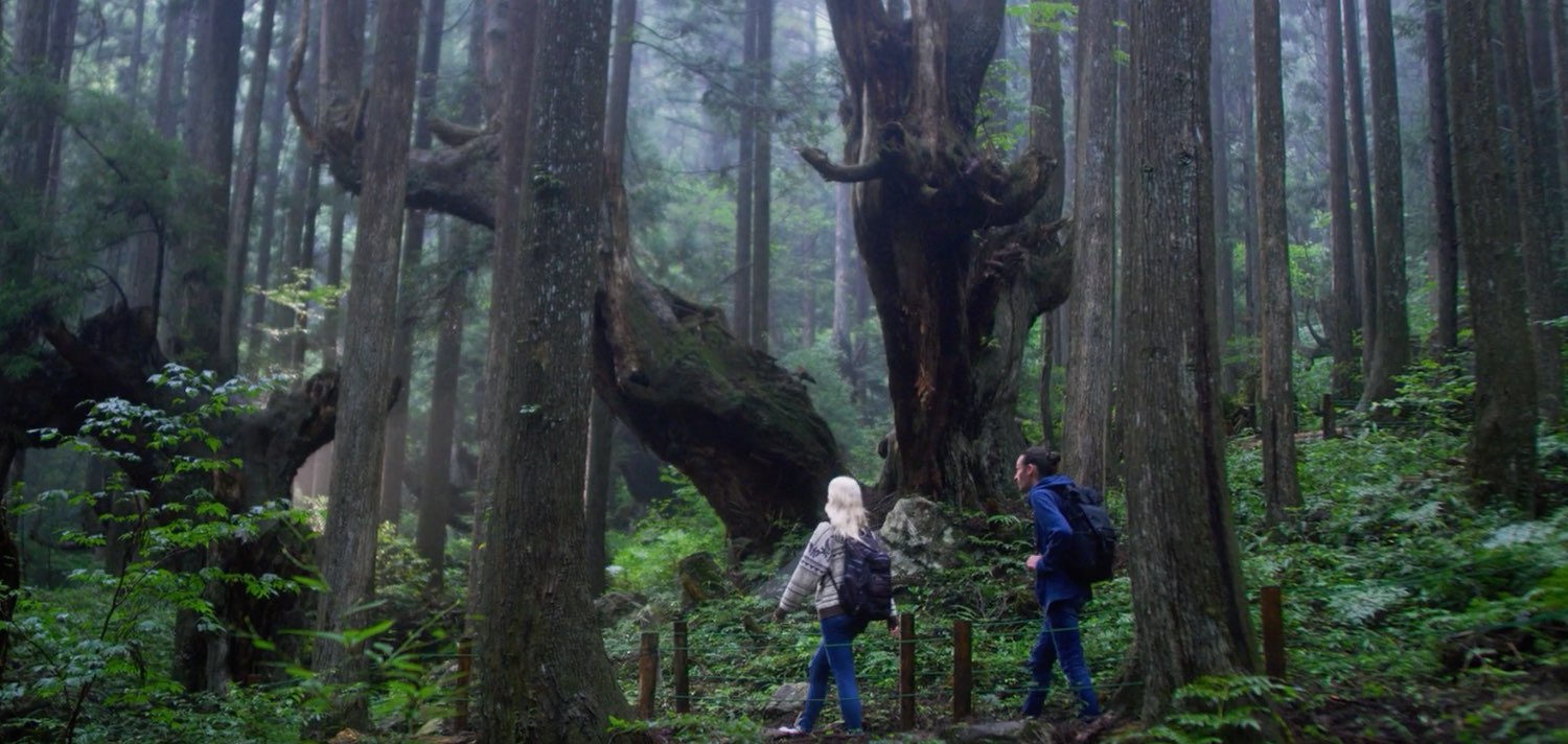 Three reasons to visit Seki | Visit Seki Official Guide