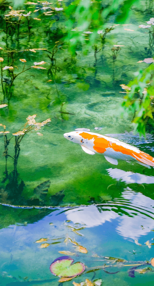 Three reasons to visit Seki | Visit Seki Official Guide